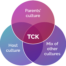 Third Culture Kid Experience: Challenges and Opportunities of a TCK ...